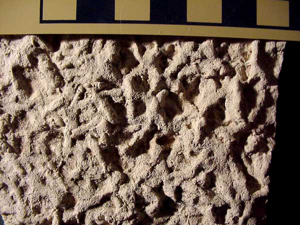 Artifacts or Geofacts? Alternative Interpretations of Items from the ...